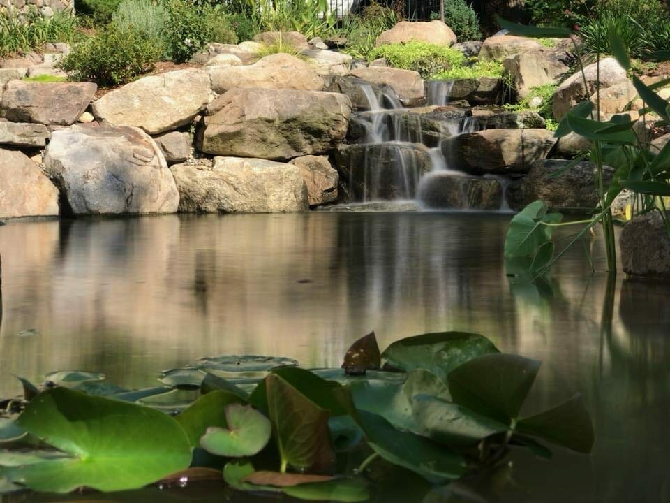 How to Detect a Leak in Your Koi Pond: A Step-by-Step Guide | Garden ...