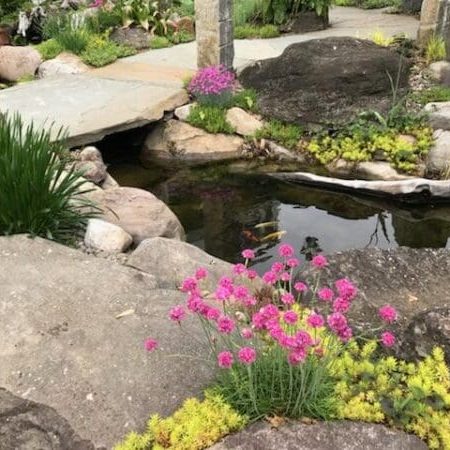 Eco-Friendly Backyard: Sustainable Pond Design Tips for a Greener Space ...